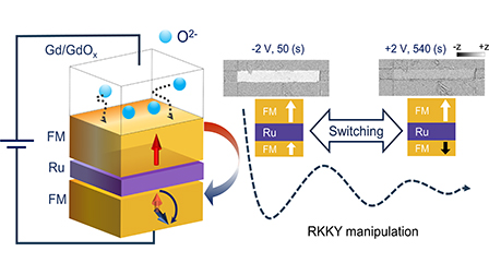 Field-free control and switching of perpendicular magnetization by ...
