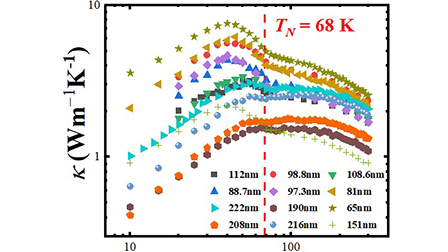 Magnon–phonon coupling modulation via dimensional reduction in thin ...