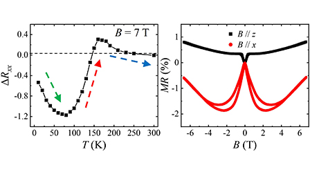 Unconventional magnetotransport properties of two-dimensional ...