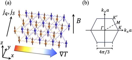Topological magnon–polaron transport in a bilayer van der Waals magnet ...