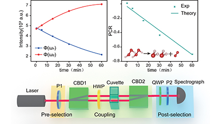 High-precision weak measurement sensing with adaptability in ...