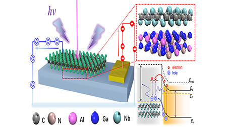 MXene/AlGaN van der Waals heterojunction self-powered photodetectors ...