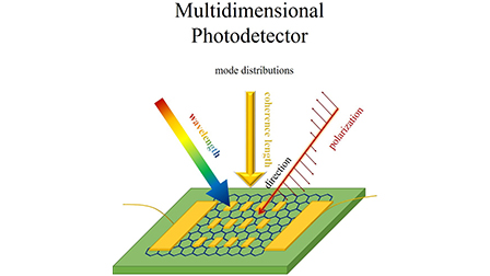 Multidimensional photodetection of light fields based on metasurfaces ...