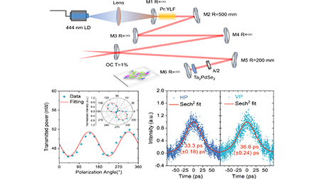 Controlled visible ultrafast lasers based on polarization-dependent ...