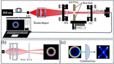Robust high-order petal-mode laser with tunable topological charge ...