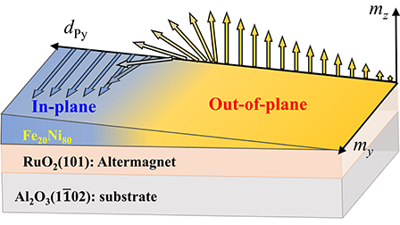 Perpendicular magnetic anisotropy in permalloy ultrathin film grown on ...