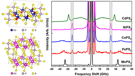 Acoustic and optical phonons in quasi-two-dimensional MPS3 ...
