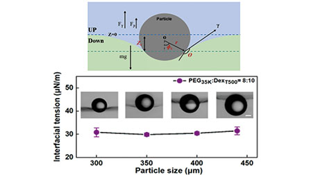 Particle levitation tensiometry (PLT) for probing interfaces of liquid–liquid phase separation ...