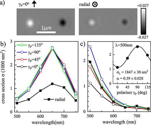Radially polarized light in single particle optical extinction ...