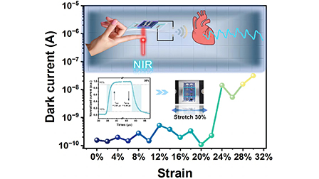 High stability of dark current enables stretchable near-infrared self ...