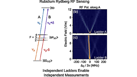 Independent Rydberg atom sensing using a dual-ladder scheme | Applied ...
