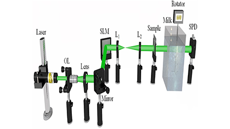 Deep learning-enhanced ghost imaging through dynamic and complex ...