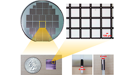Stretchable silicon array with stretchability at 66.1% ± 2.9% and ...