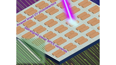 All-organic arrayed photodetectors with fast UVA–UVC response based on ...