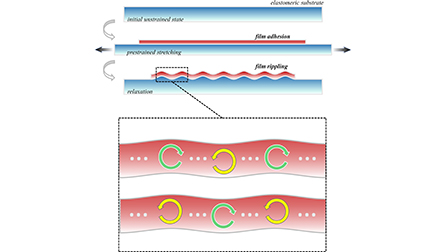 Collective control of a vortex array in a ferroelectric ultrathin film ...