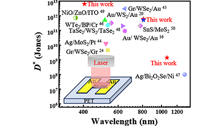 Enhanced self-powered metal–semiconductor–metal WSe2 photodetectors with asymmetric Schottky ...