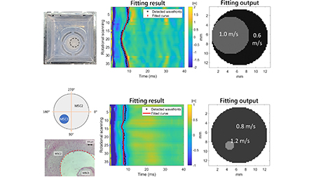 Reflected shear wave computed tomography for elasticity imaging of 3D ...