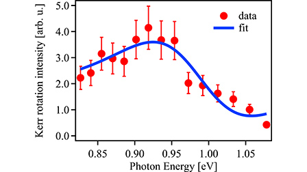 Spin-dependent bandgap renormalization and state-filling effect in ...