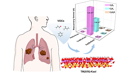 Nanoclay biosensor for rapidly detecting lung cancer biomarkers at room ...