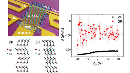 Probing the electric and thermoelectric response of ferroelectric 2H ...