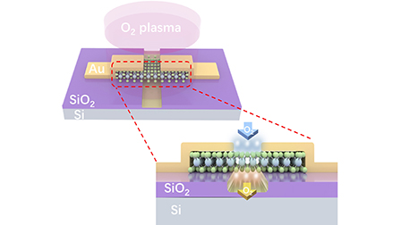 Improving photodetection response time of ReS2 devices through double ...