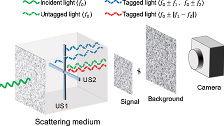 Camera-based ultrasound-modulated optical tomography with isometric ...