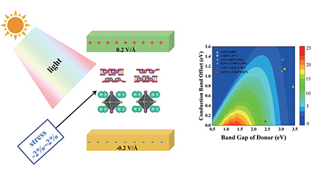 Engineering photoelectric conversion efficiency in two-dimensional ...