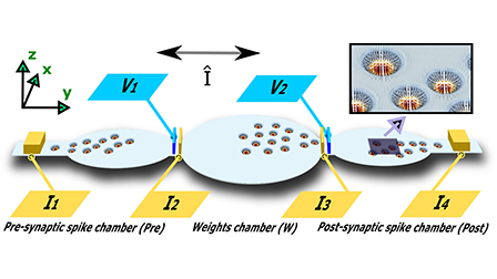 Tunable spike-timing-dependent plasticity in magnetic skyrmion ...