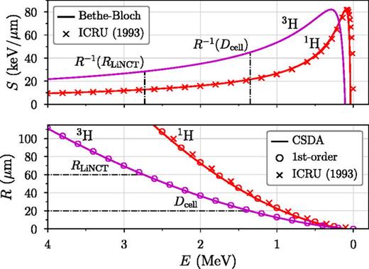 Advancing lithium neutron capture therapy: 6Li-loaded nanoparticles and ...