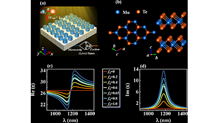 Strong coupling between excitons and quasi-bound states in the ...
