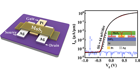 Low-power MoS2 metal–semiconductor field effect transistors (MESFETs) based on standard metal ...