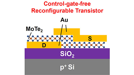Control-gate-free reconfigurable transistor based on 2D MoTe2 with ...