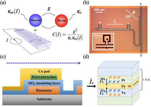 Electrical manipulation of dissipation in microwave photon–magnon ...