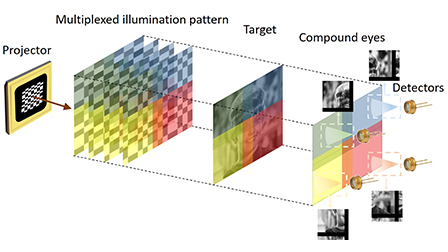 Parallel computational ghost imaging with modulation patterns multiplexing and permutation ...