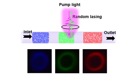 Vortex random lasing with tunable wavelength and orbital angular ...