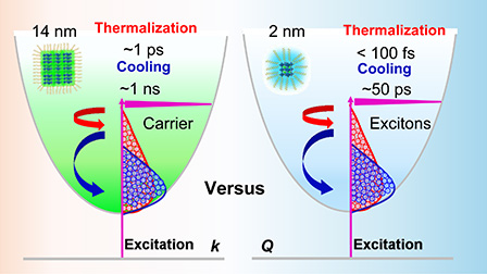 Ultrafast transient absorption spectroscopy of 14 and 2.1 nm CsPbBr3 ...