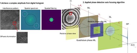 Numerical phase-detection autofocusing method for digital holography reconstruction processing ...