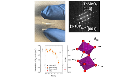Flexible strained membranes of multiferroic TbMnO3 | Applied Physics ...