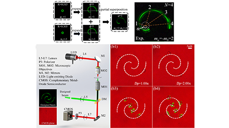 Generation of chiral optical vortex lattice for controlled aggregation ...
