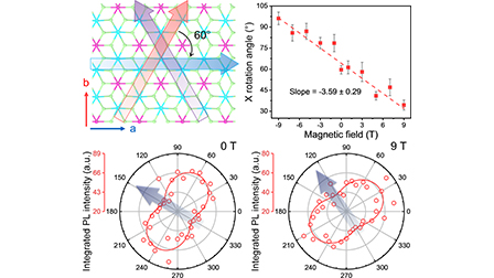 Spin chain orientation and magneto-optical coupling in twisted NiPS3 ...