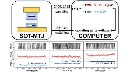Self-stabilized true random number generator based on spin–orbit torque magnetic tunnel ...
