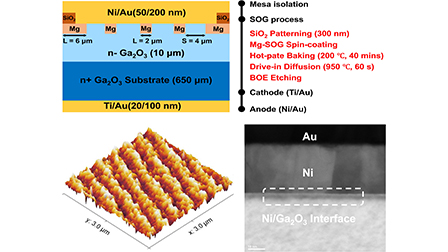 High-performance β-Ga2O3 Schottky barrier diodes with Mg current blocking layer using spin-on ...