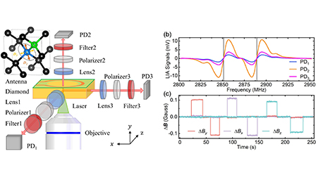 Simultaneous vector magnetometry based on fluorescence polarization of ...