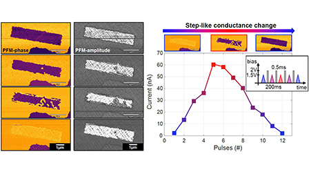 Graphene-enhanced ferroelectric domain wall high-output memristor ...