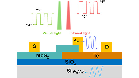 Multifunctional optoelectronic devices based on two-dimensional ...