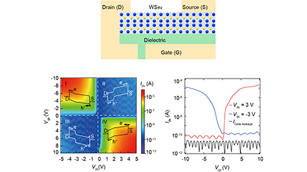 Drain self-blocking ambipolar transistors for complementary circuit ...