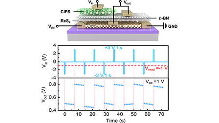 Nonvolatile logic inverters based on 2D CuInP2S6 ferroelectric field effect transistors ...