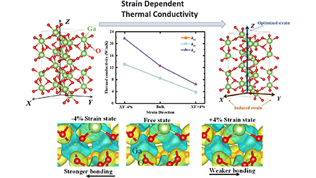 Insights into strain dependent lattice thermal conductivity of α- and κ-Ga2O3 | Applied Physics ...