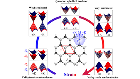 Spin-valley locked topological phase transitions in reversible strain ...