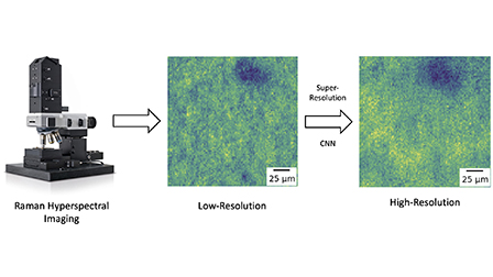 Deep learning-driven super-resolution in Raman hyperspectral imaging: Efficient high-resolution ...
